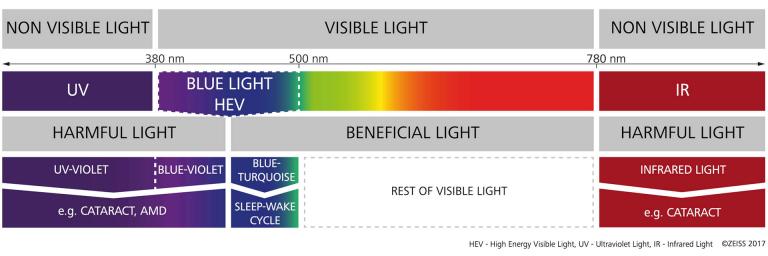 How does colour vision work?